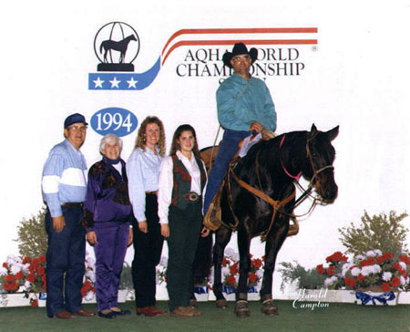 Harrison Performance Horses