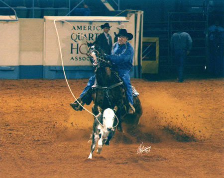 Harrison Performance Horses