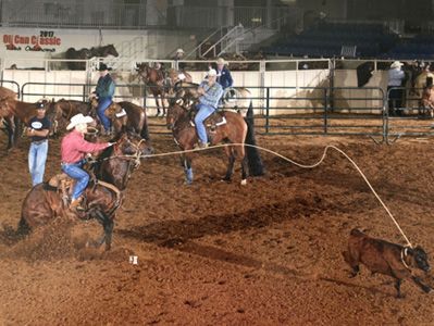 HR Smart Rey - Harrison Performance Horses