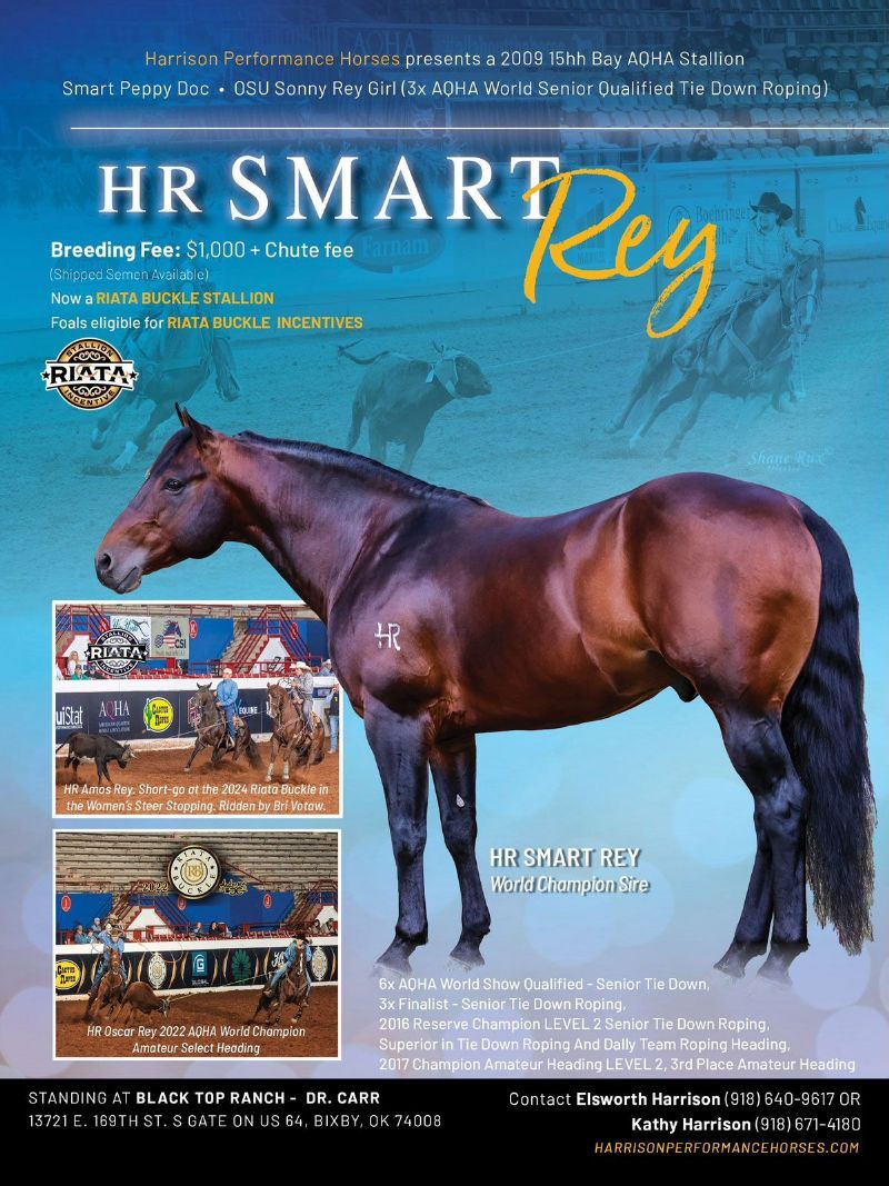 HR Smart Rey - Harrison Performance Horses