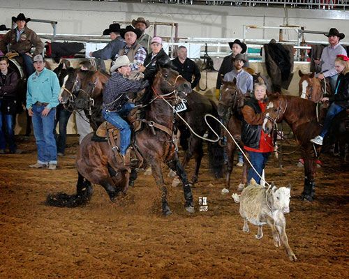 HR Smart Rey - Harrison Performance Horses