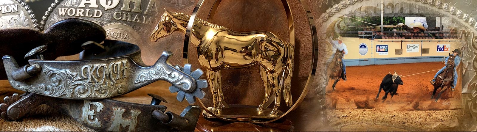 Harrison Performance Horses