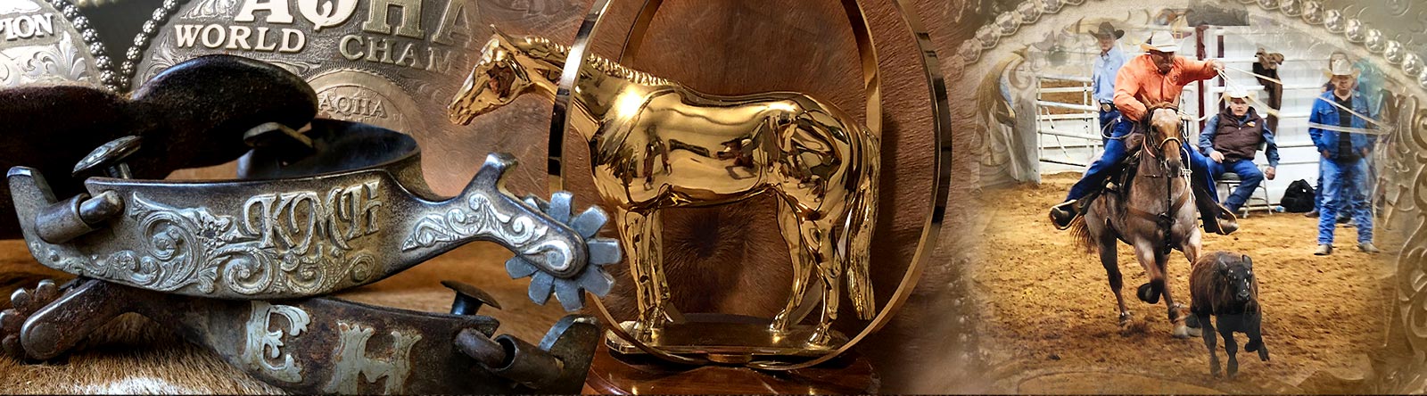 HR Smart Rey - Harrison Performance Horses